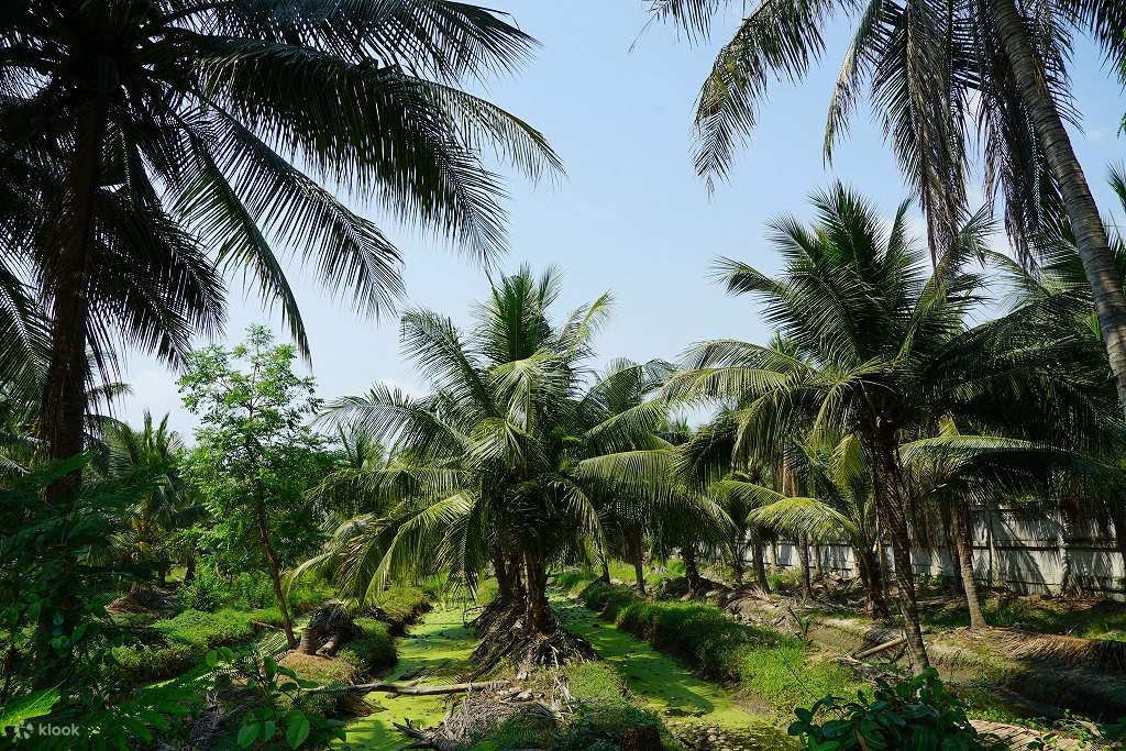 Bangkok Green Oasis Nature Bike Tour - Klook India