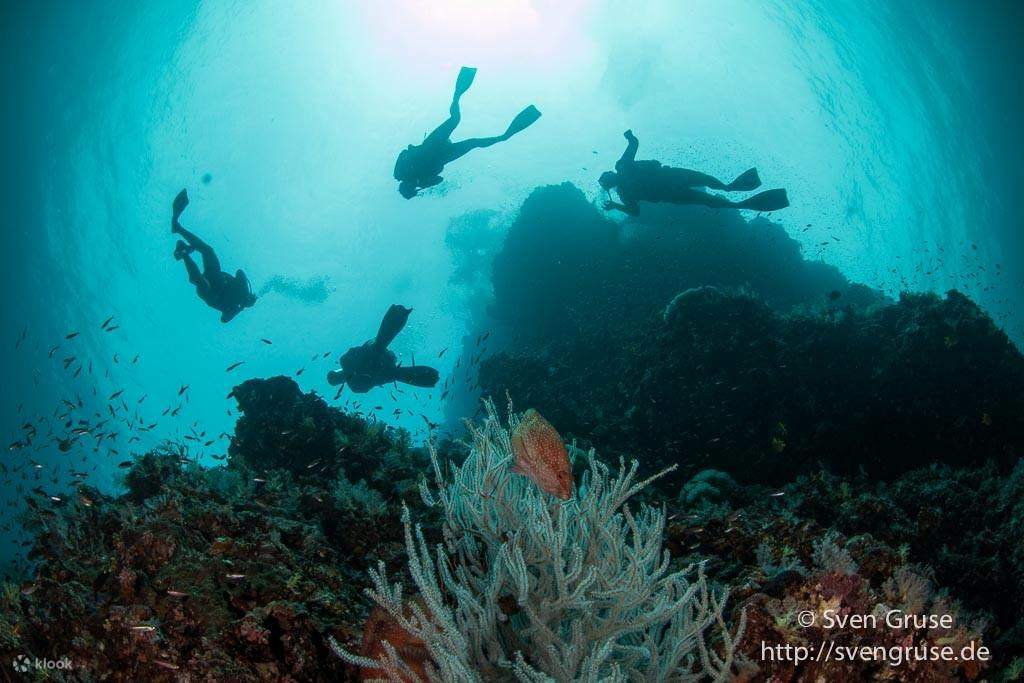 Full-Day Dive Trip in Koh Lanta with PADI 5 Star IDC Resort - Klook ...