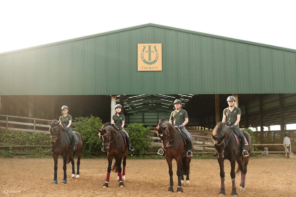 New Taipei: Equestrian Experience Course - Klook