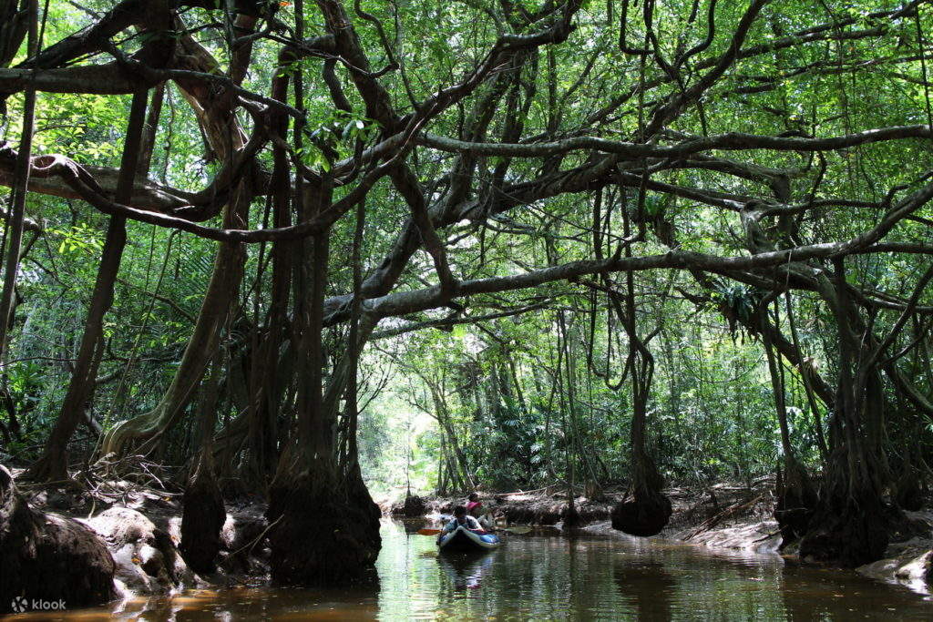 Khao Lak's Little Amazon, Kayak, Trek, and Waterfall Day Trip - Klook India