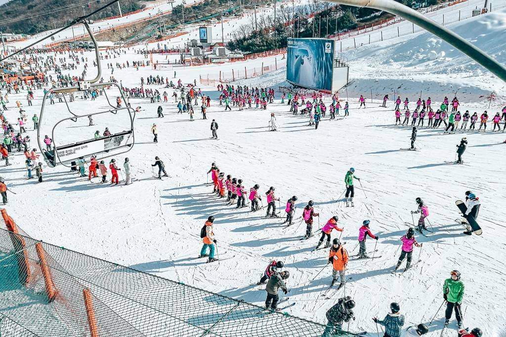 Vivaldi Ski One Day Tour - Klook Singapore