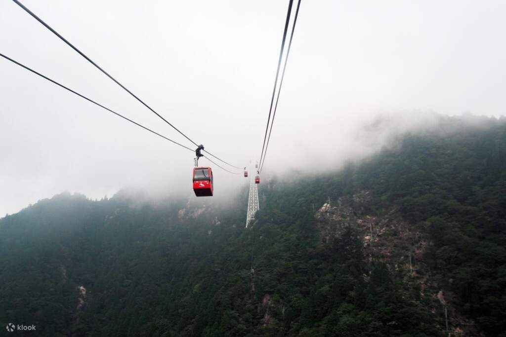 From Nagoya: Yoro Falls & Mt. Gozaisho Scenic Ropeway - Klook