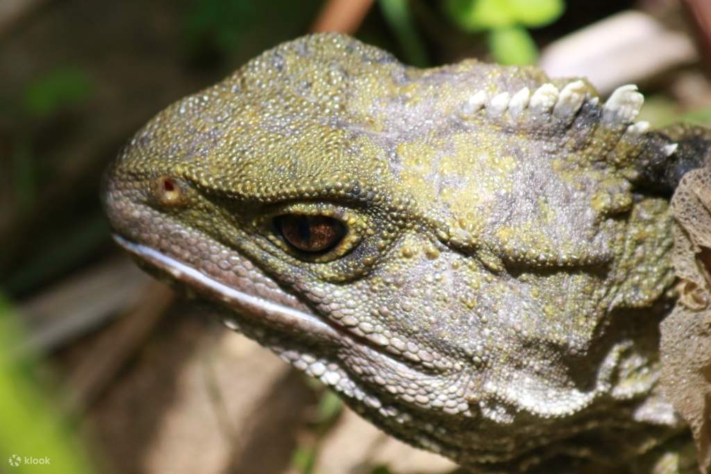 Tautari Wetland Highlights - Klook Philippines
