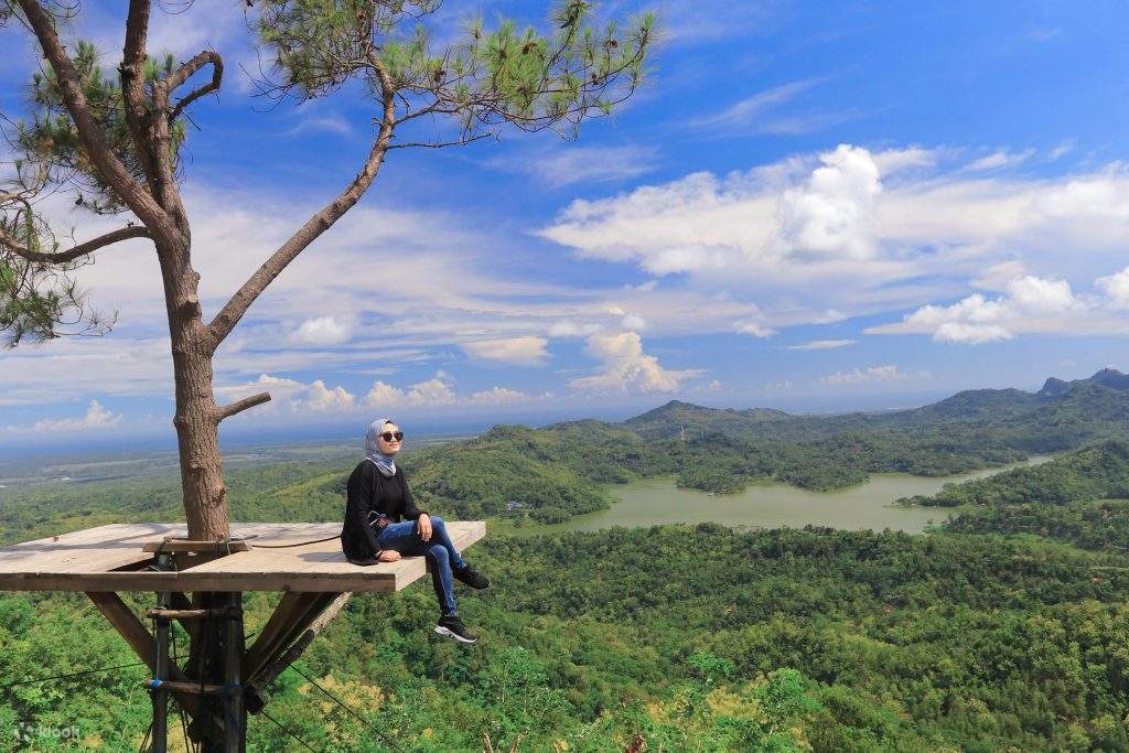 Photo Spot Kalibiru dan Jeep Tour di Yogyakarta - Klook Indonesia