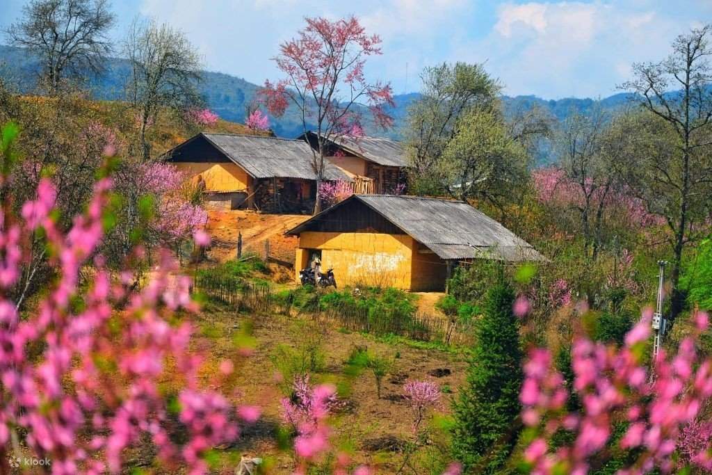 2D1N Y Ty Lung Po - The Land of Cloud Tour, Vietnam - Klook Singapore