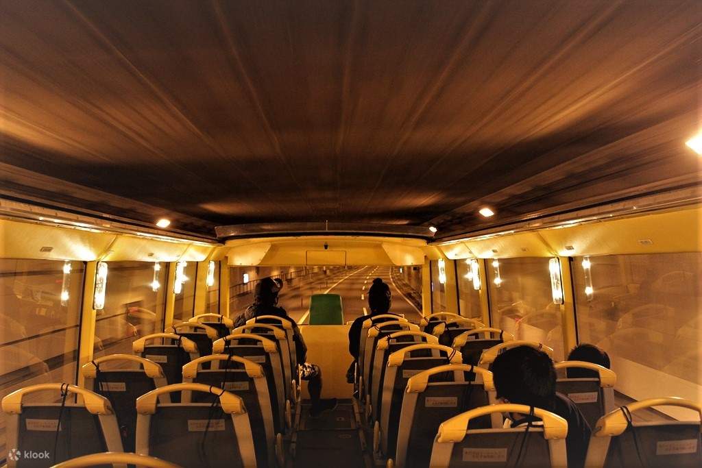 Churashima Open Top Bus Tour by Cerulean Blue Okinawa (Naha departure ...