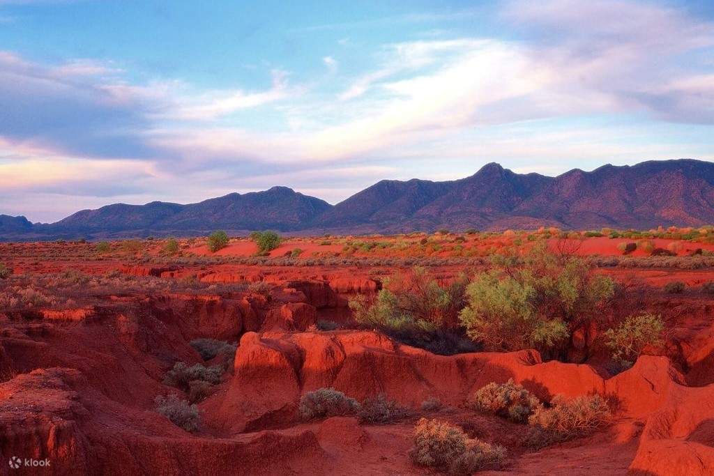 3-Day Flinders Ranges & Outback 4WD Eco Safari - Klook
