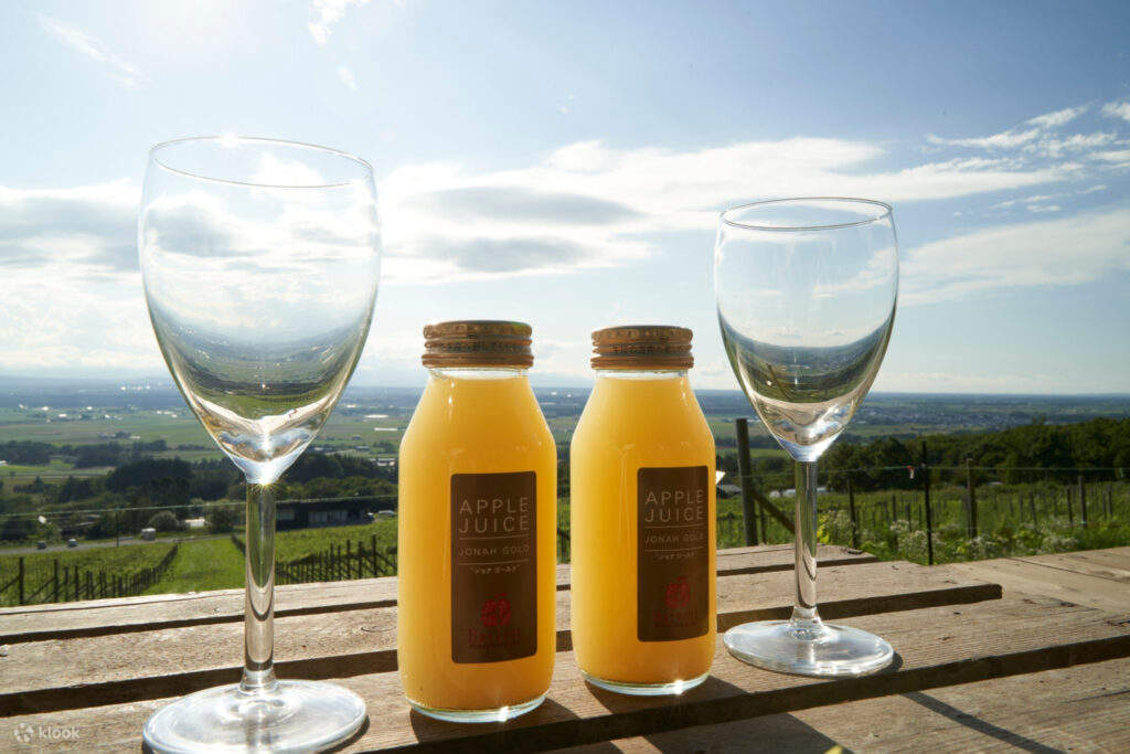 Private terrace with a spectacular view: Maoi Vineyard Hill (Hokkaido ...