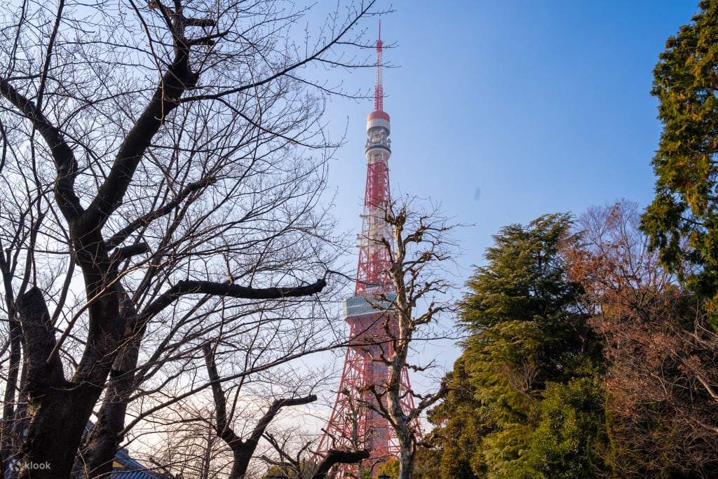 Tur 1 Hari Tokyo Highlights dengan Mobil dan Pemandu Pribadi - Klook Indonesia