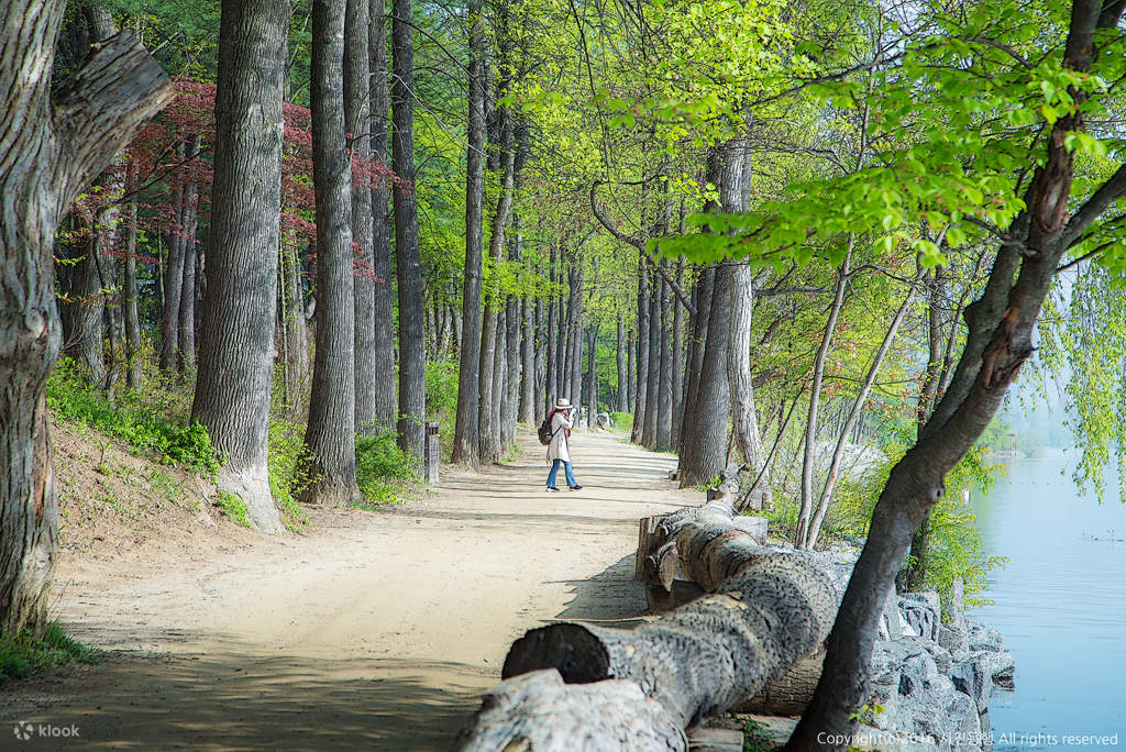 NAMI ISLAND and LOTTE WOLRD or SEOUL SKY - Klook Australia