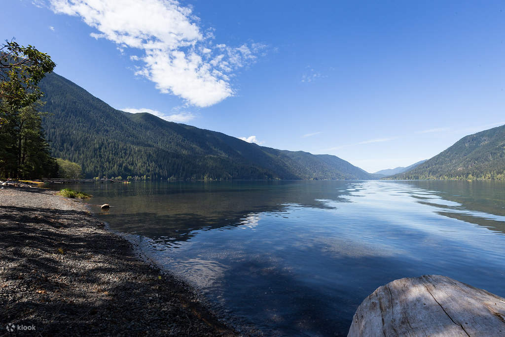 Private Walking Tour of Seattle: Highlights of the Pacific Northwest ...