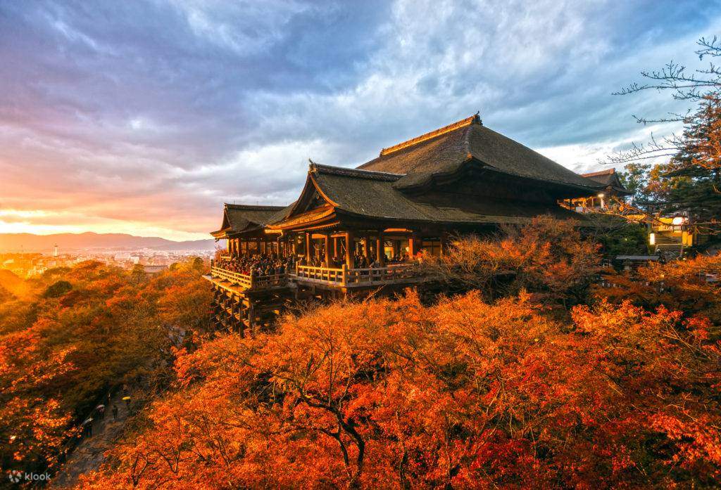 PERFECT Kyoto Day – Custom Private Tour by Award-Winning Operator ...