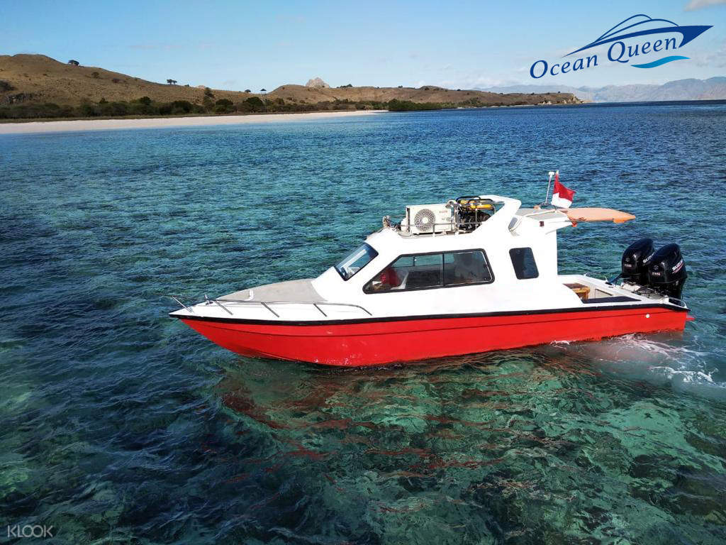 Komodo Full Day Speedboat Tour from Labuan Bajo