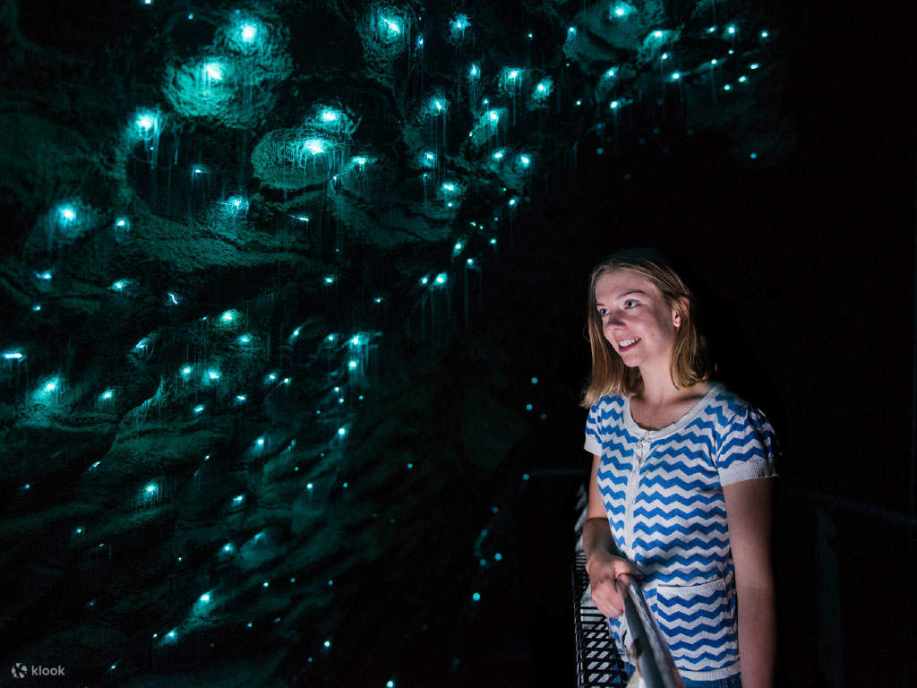 Hobbiton and Waitomo Caves Tour from Auckland - Klook United States