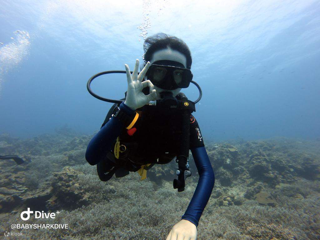 Explore the Depths with PADI Advanced Open Water Dive in Kota Kinabalu ...