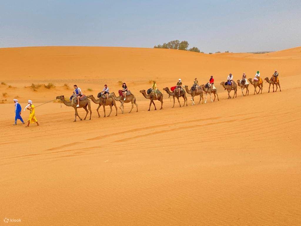 3D2N Merzouga and Sahara Desert Tour from Marrakech - Klook