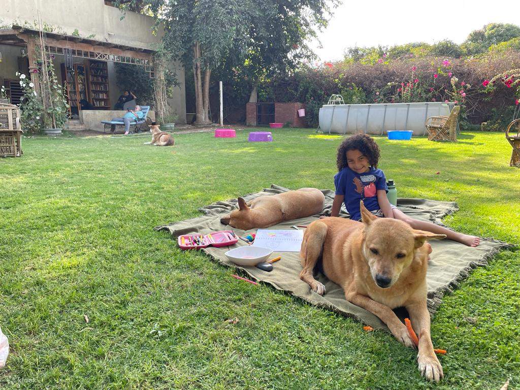 Rustic Lunch with Scenic Views and an Authentic Experience - Klook