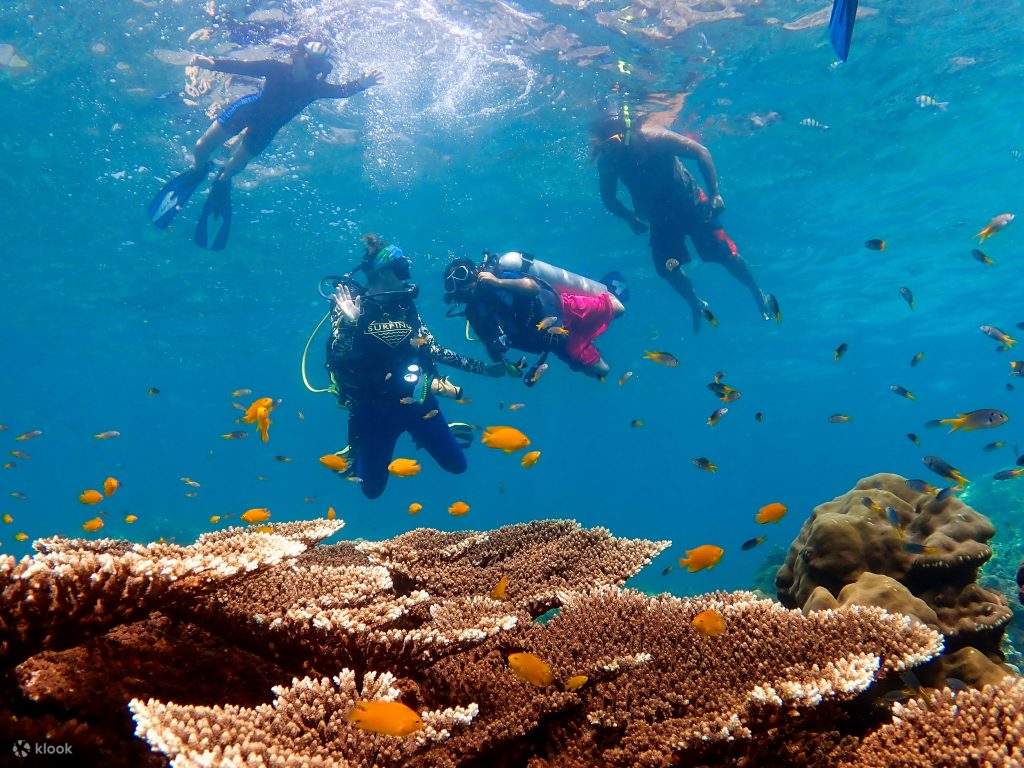 Rasakan Scuba Diving dengan Pool Training di PADI 5 Star Dive Resort - Klook Indonesia