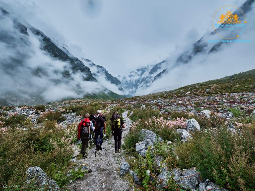 Kathmandu: 7-Days Langtang Valley Trek - Klook New Zealand