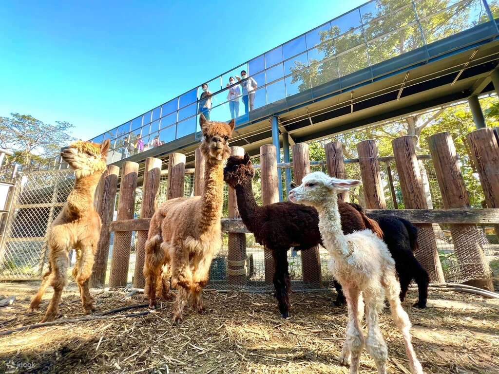 Biglietti per lo zoo di Kaohsiung Shoushan - Klook Stati Uniti
