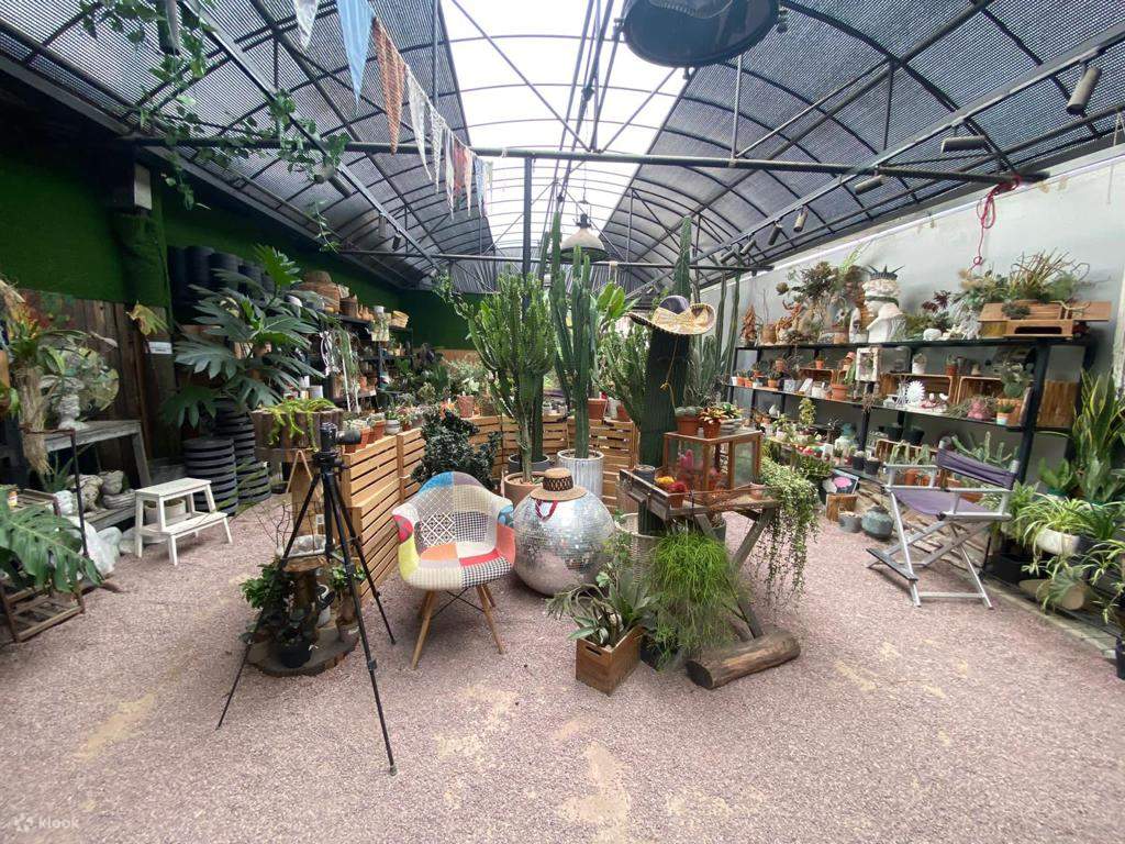 Botanic Union - 多用途場地租用 - Klook香港