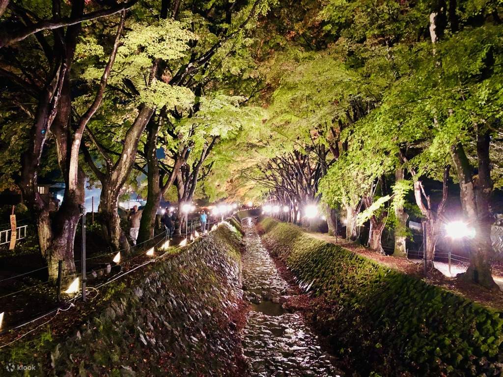 Fujisan and Tokyo 23 wards Private One Day Guided Tour - Klook Philippines