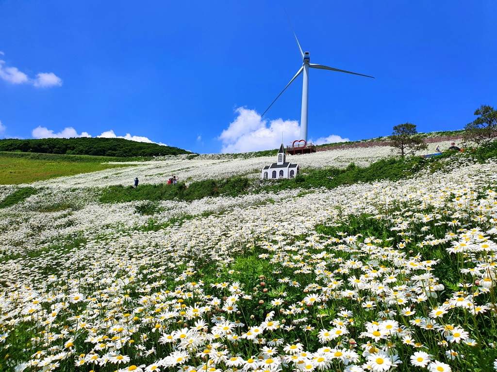 Pyeongchang Day Tour from Seoul - Klook India
