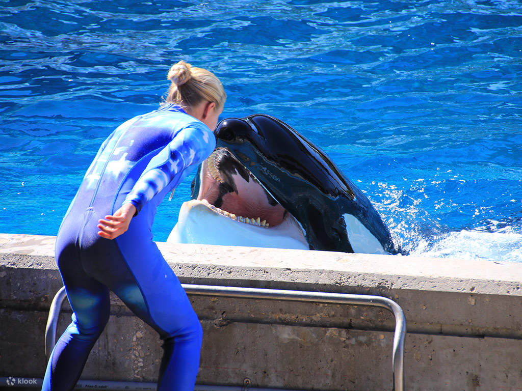 SeaWorld San Antonio Ticket - Klook