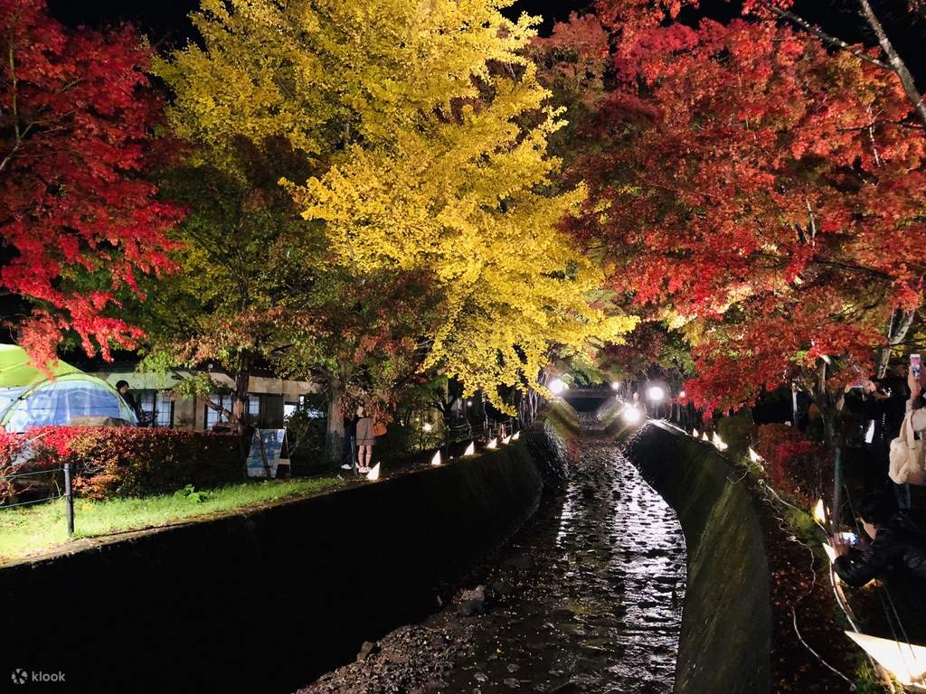 Fujisan and Tokyo 23 wards Private One Day Guided Tour - Klook Philippines