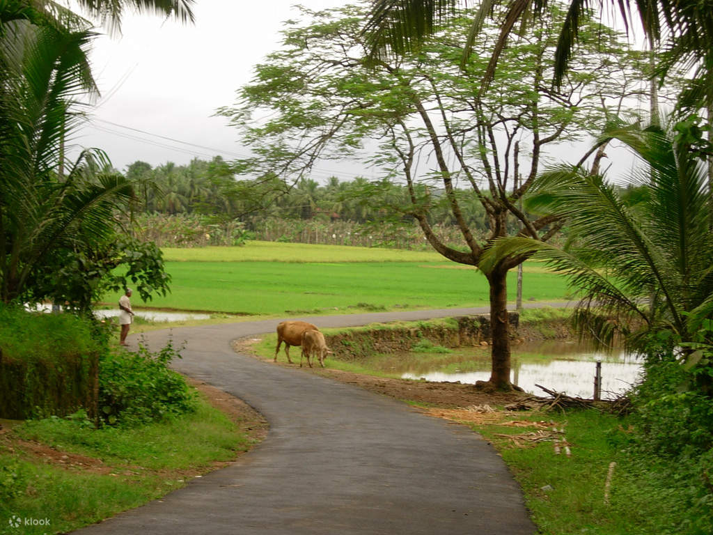 Varanasi Village Tour - Klook