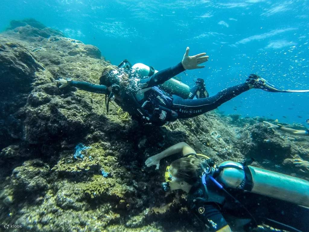 Inolvidable viaje de buceo de día completo con PADI 5 Star Dive Center ...