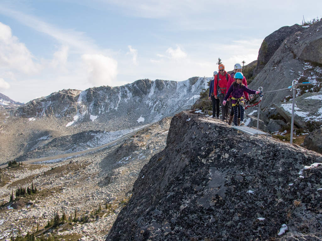Experience Thrills on the Whistler Sky Walk: Suspension Bridge ...