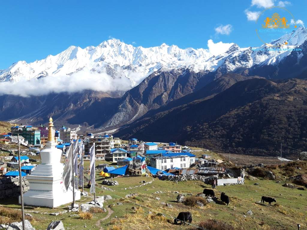 Kathmandu: 7-Days Langtang Valley Trek - Klook United Kingdom