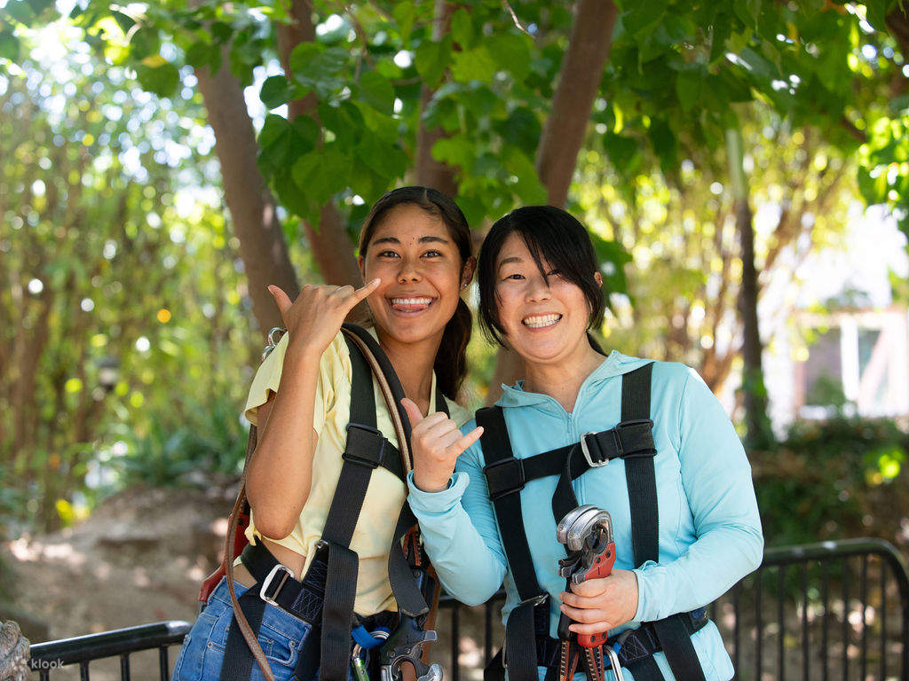 Zipline & Dolphin Watching Snorkel Adventure in Oahu - Klook The Bahamas
