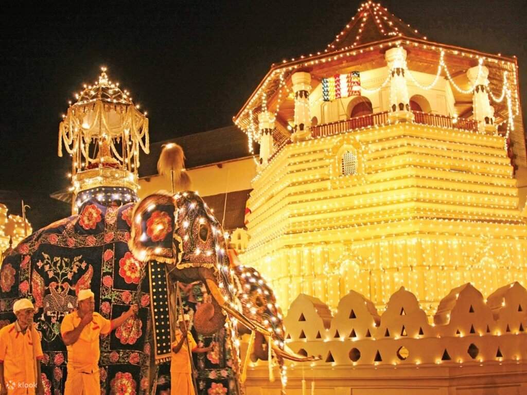 Sri Lanka 5 Days Tour with 4 Star Hotels and Private Transportation ...