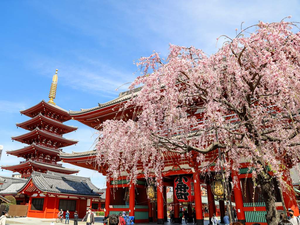 11 Best Guided Tours In Japan - Updated 2025 | Trip101