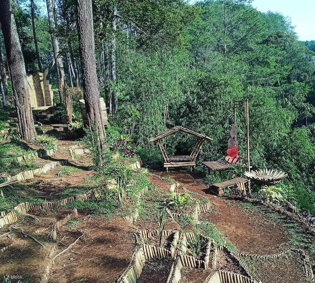 Hutan Pinus Pal 16 Cikole Lembang Ticket in Bandung - Klook