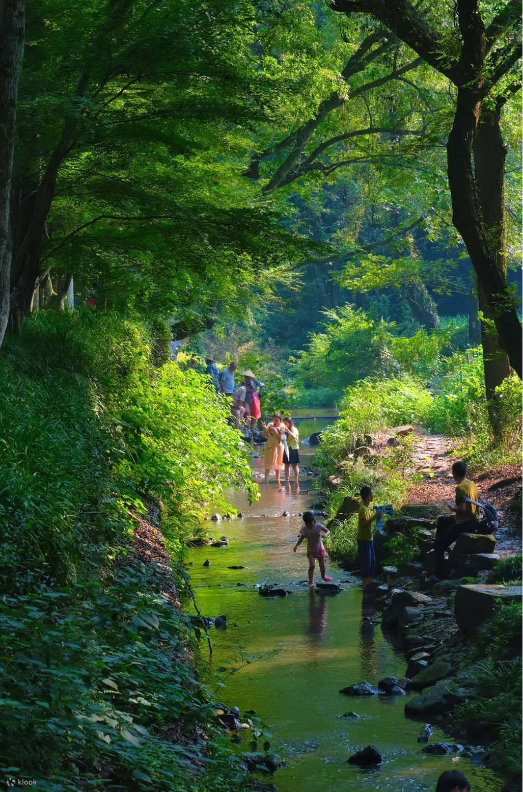 Hangzhou Hermit Tea Life One-Day Tour: Xixi Wetland + Longjing Village ...