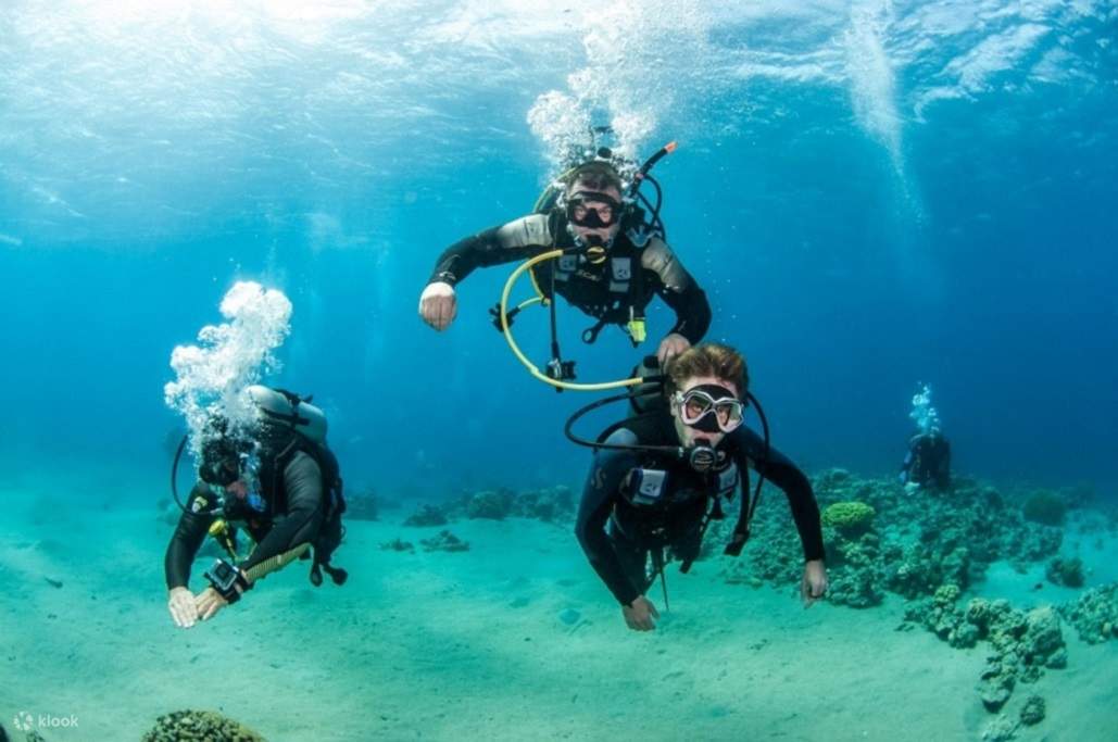 Scuba Diving Experience for Beginners & Lunch - Sharm El Sheikh - Klook ...