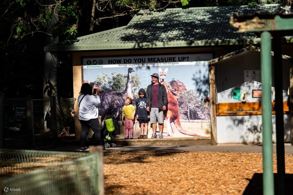 Featherdale Wildlife Park Ticket in Sydney - Klook Australia