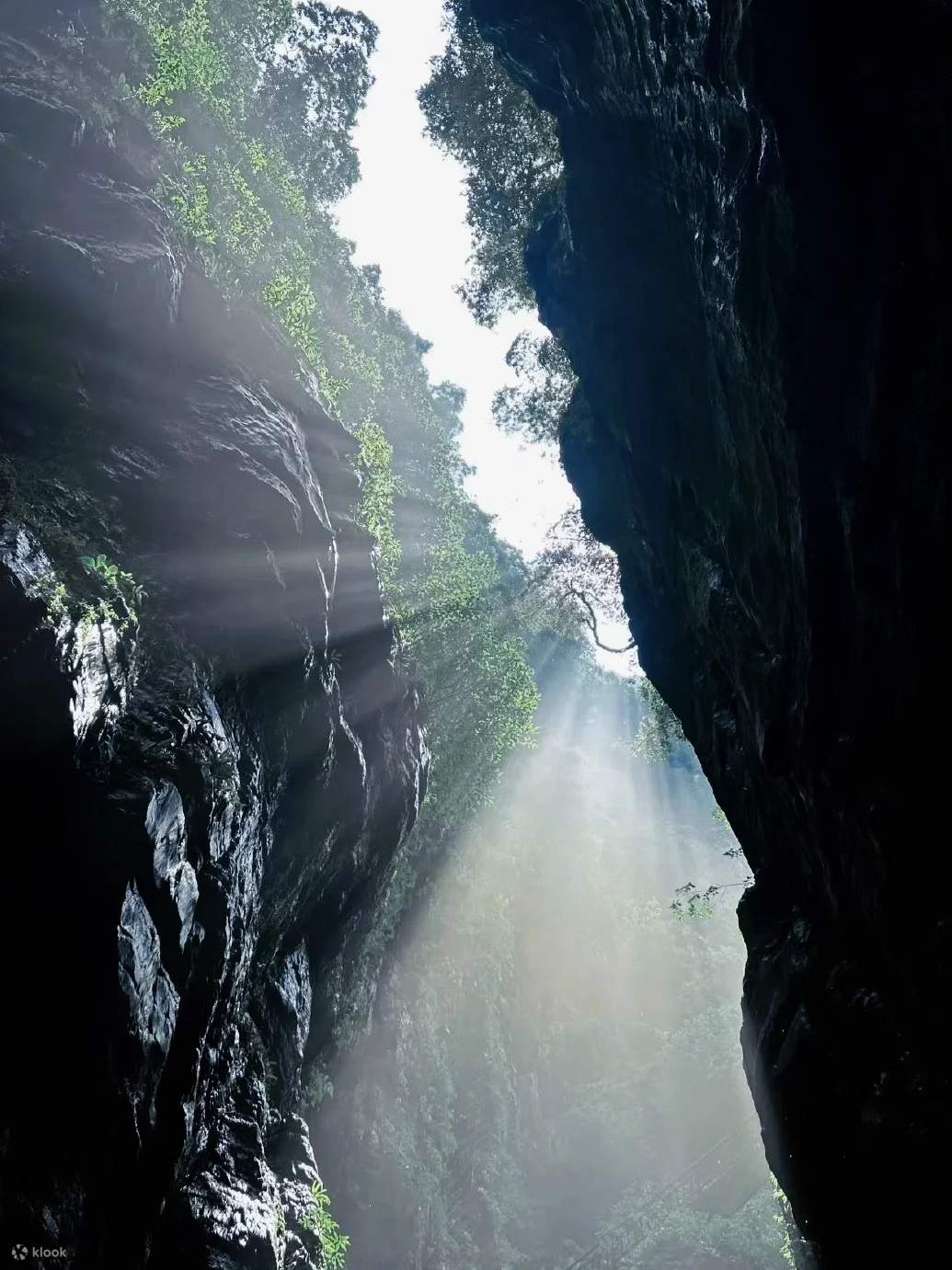 Two-Day Chongqing Wulong Tour (Three Natural Bridges + Longshui Gorge ...