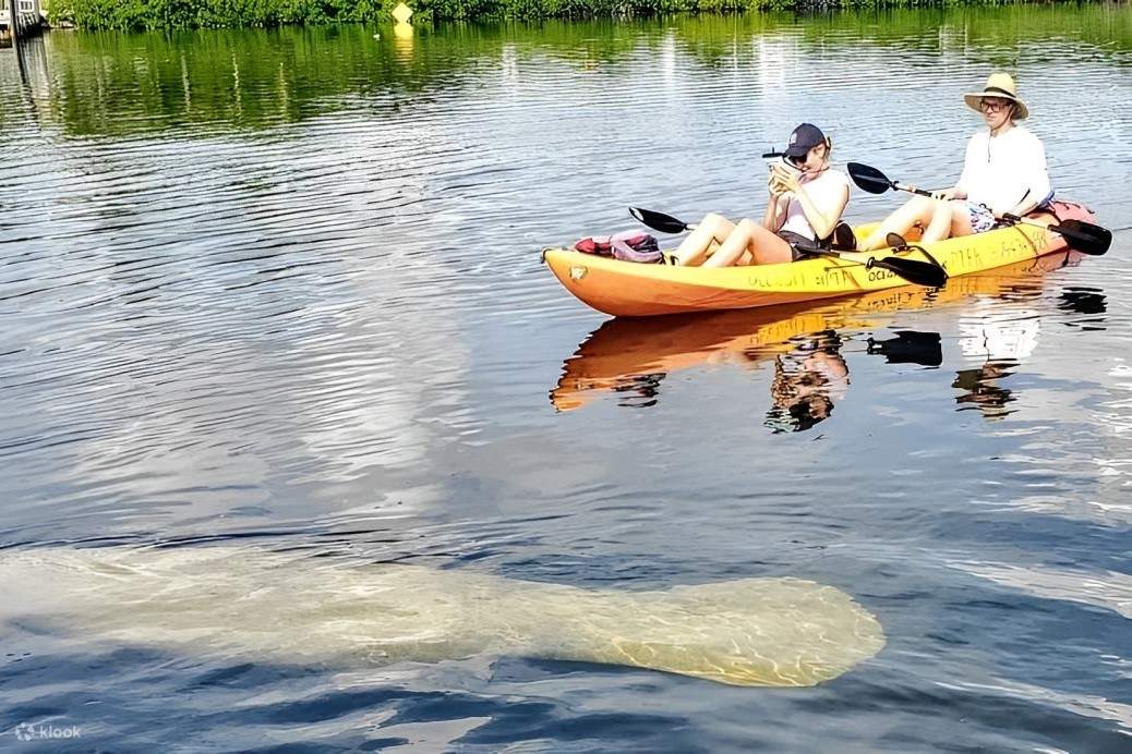 Everglades National Park Kayaking and Nature Walk with a Naturalist - Klook