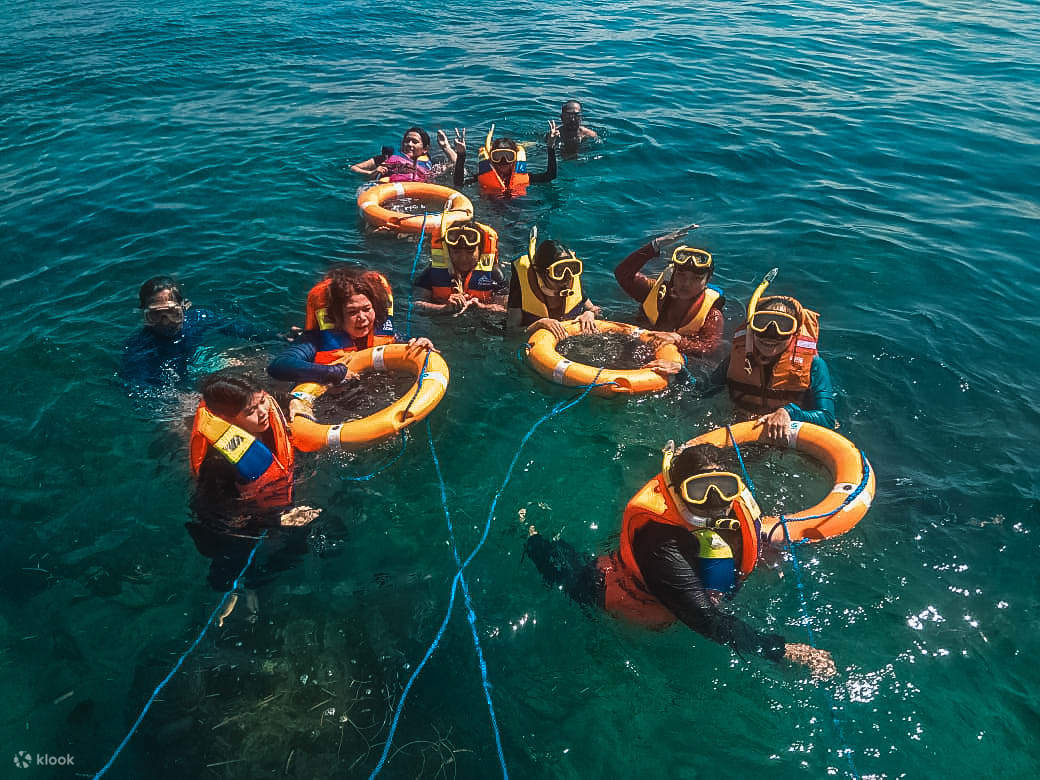 Turtle Island, Glass Bottom Boat and Mangrove Cruise by JTB Indonesia - Klook