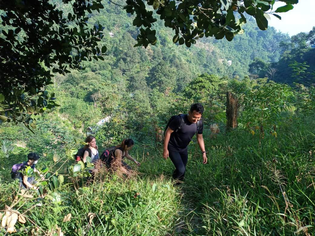 Desa Cisadon and Rawa Gede Trekking Trip in Bogor - Klook Canada