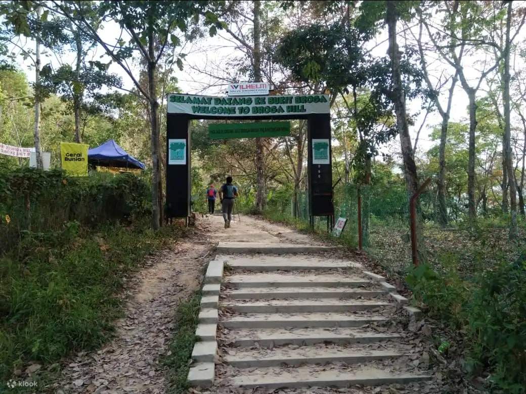 Perjalanan Mendaki Setengah Hari di Bukit Broga - Klook Indonesia