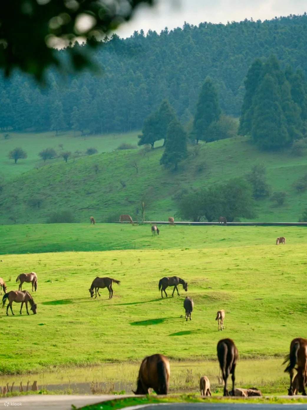 Two-Day Chongqing Wulong Tour (Three Natural Bridges + Longshui Gorge ...