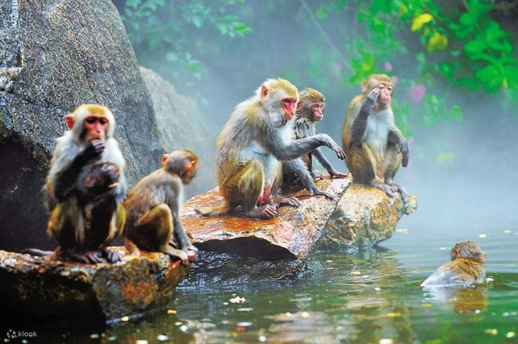 Hainan Sanya Binlanggu Li and Miao Cultural Tourism Area + Nanwan ...