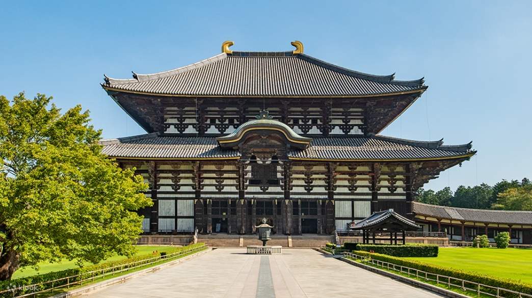 【1人成行 精品小团】京都奈良双古都一日游|清水寺and 伏见稻荷大社and奈良公园|中文司导|大阪and京都出发|可选酒店接送 Klook客路