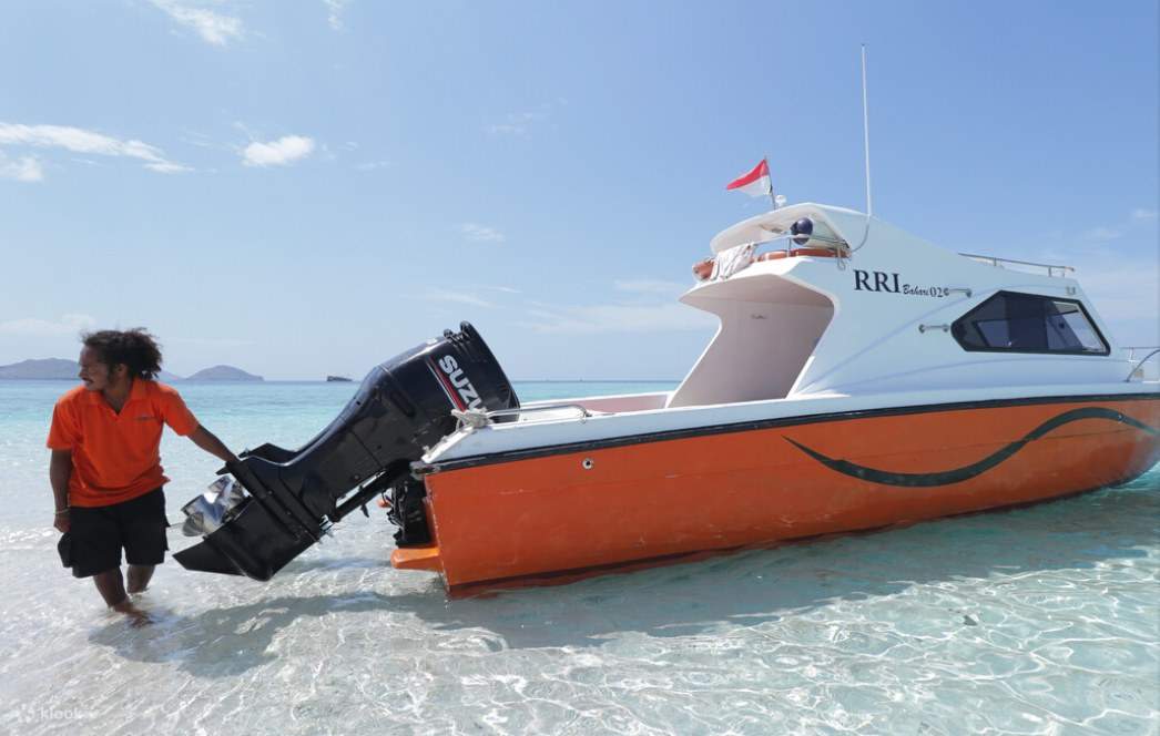 Komodo Full Day Speedboat Tour from Labuan Bajo - Klook