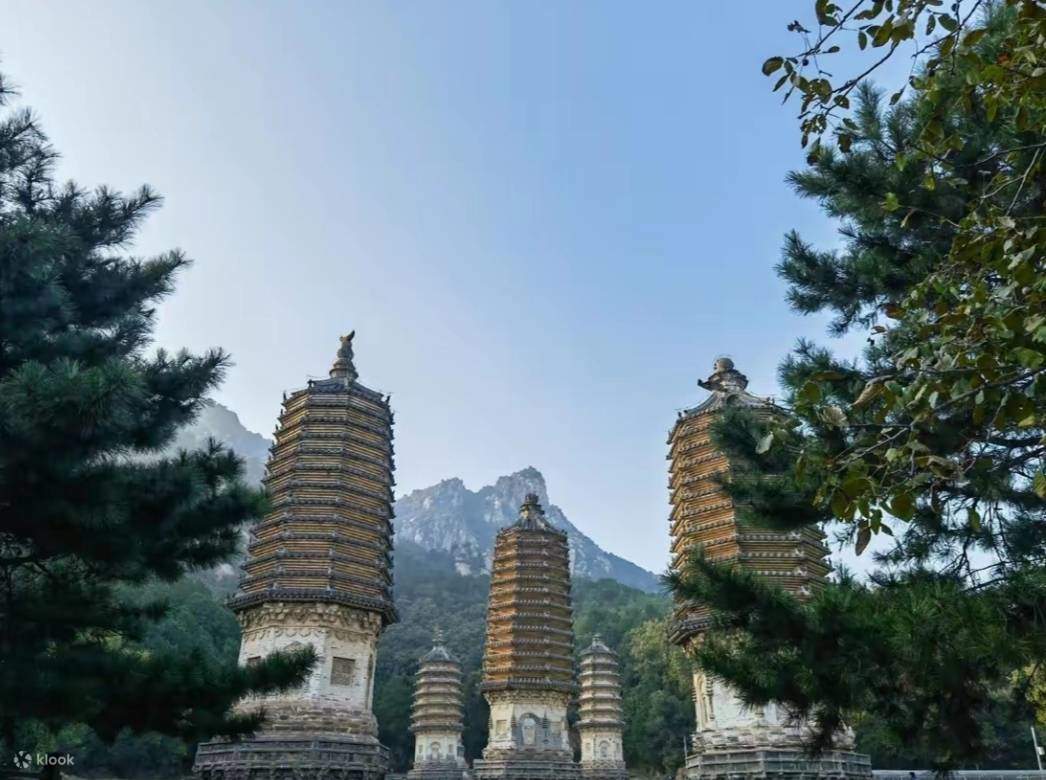 Silver Mountain Pagoda Forest - Klook